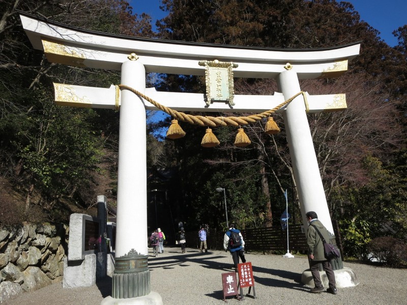 IMG_1624 – 会員便り